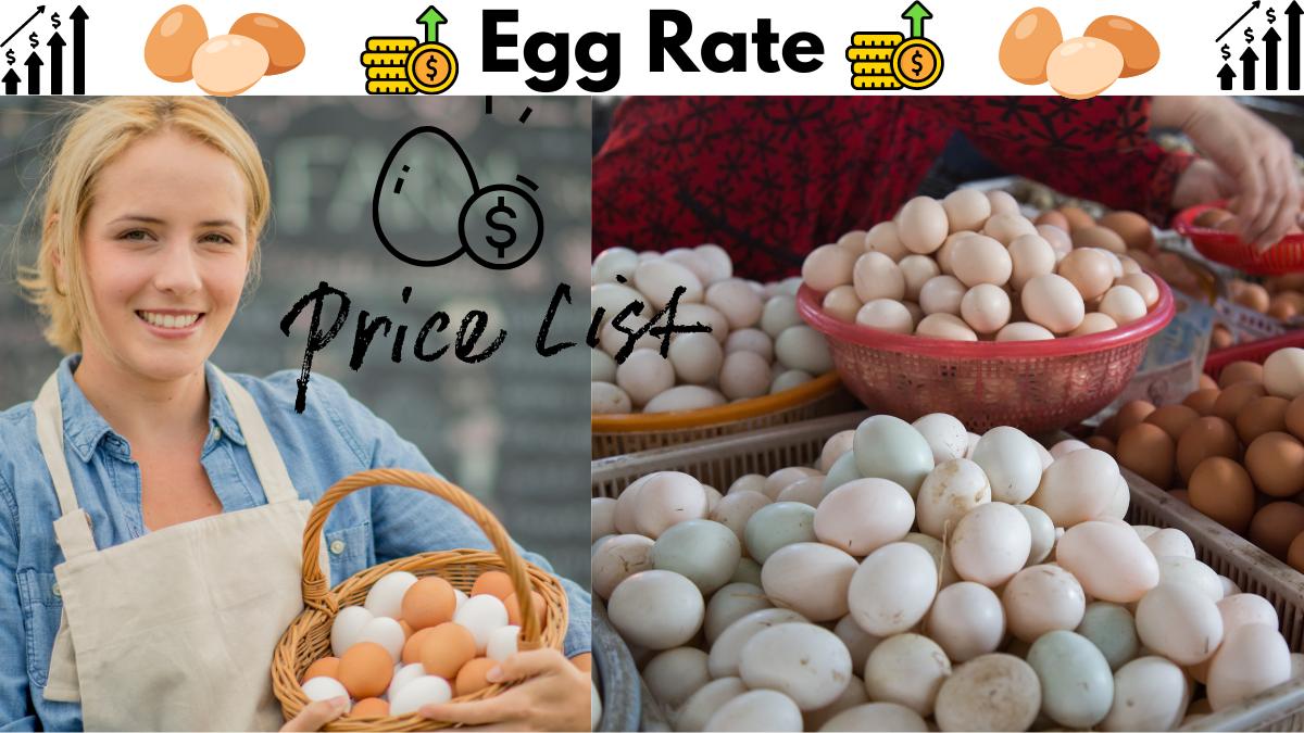 Egg Rate in India: Discover the Latest Price - KhetiKisaan