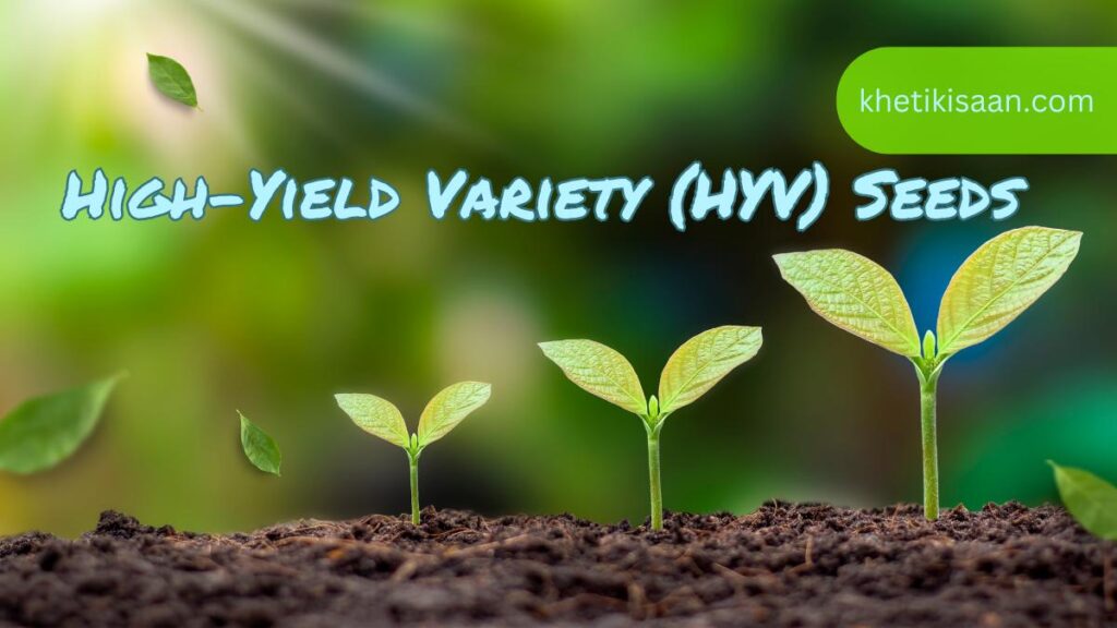 High-Yield Variety (HYV) Seeds - KhetiKisaan