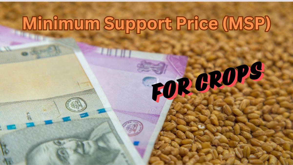 Overview of Minimum Support Price (MSP) in India - KhetiKisaan